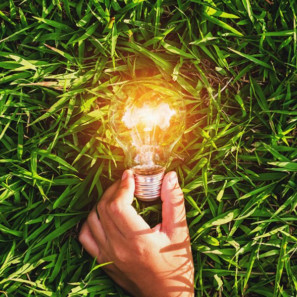 Zayel Solar – Solar Power in Saudi Arabia